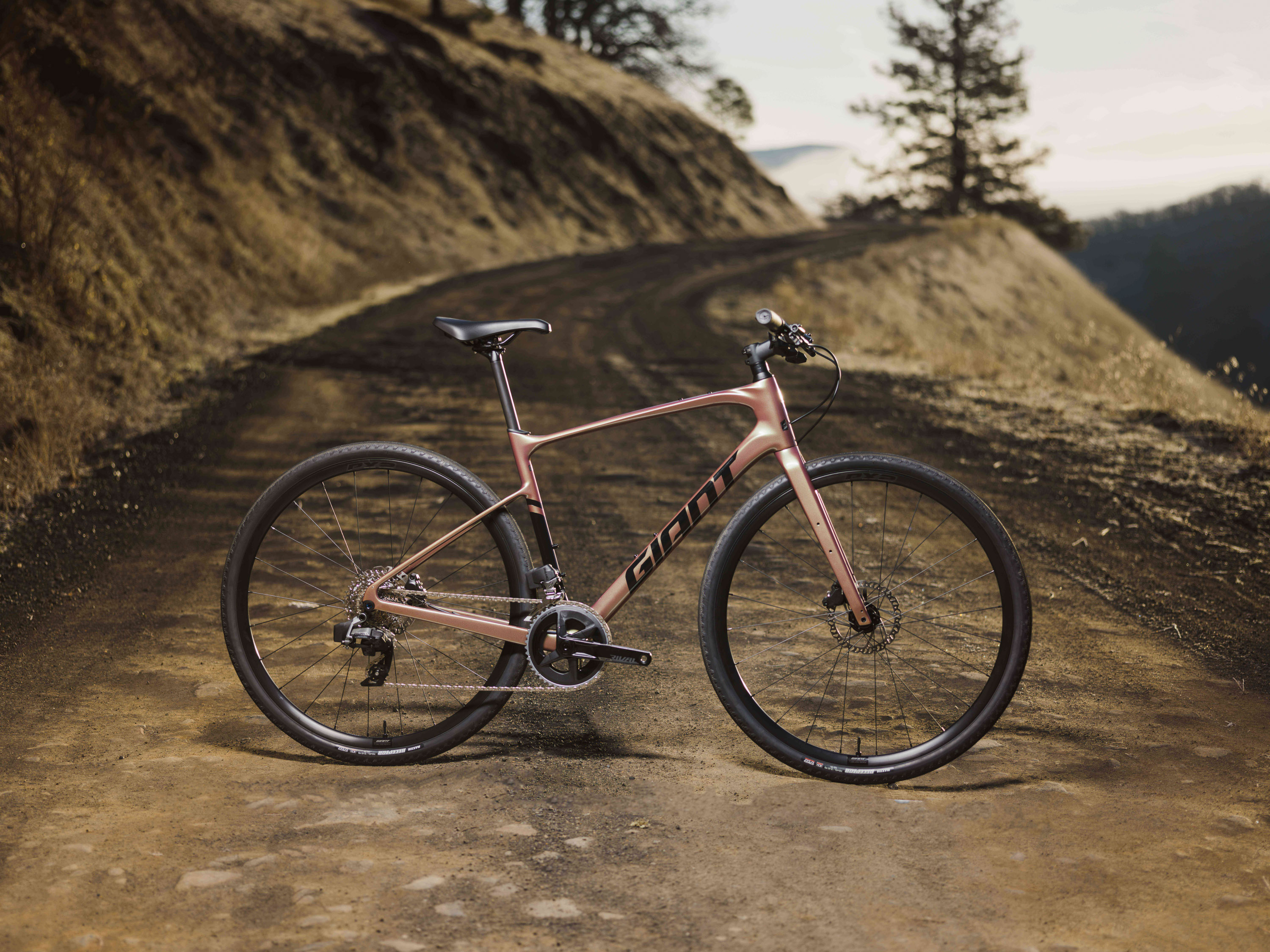 Neues Giant FastRoad AR Fitness Bike: Allroad-Flitzer in Alu und Carbon ...