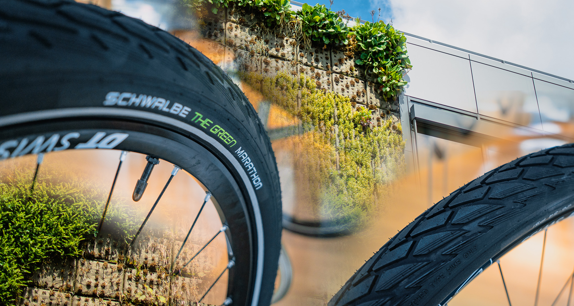 Neuer Schwalbe Green Marathon Upcycling-Reifen - Nimms Rad